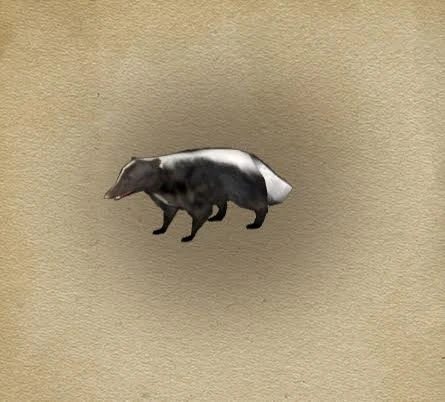 Skunk | The Wolf Wiki | Fandom