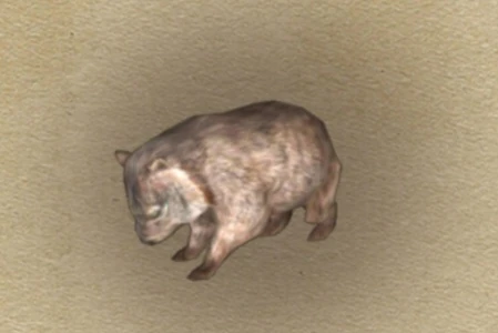 Wombat | The Wolf Wiki | Fandom