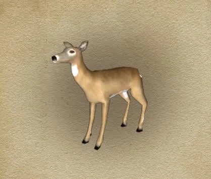 Doe | The Wolf Wiki | Fandom