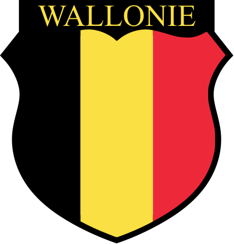 Walloon Legion | The Wolfenstein Fanon Wiki | Fandom