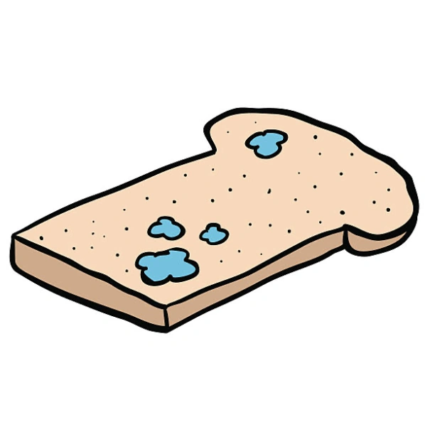 Segismundo | The Wonderland Wiki | Fandom