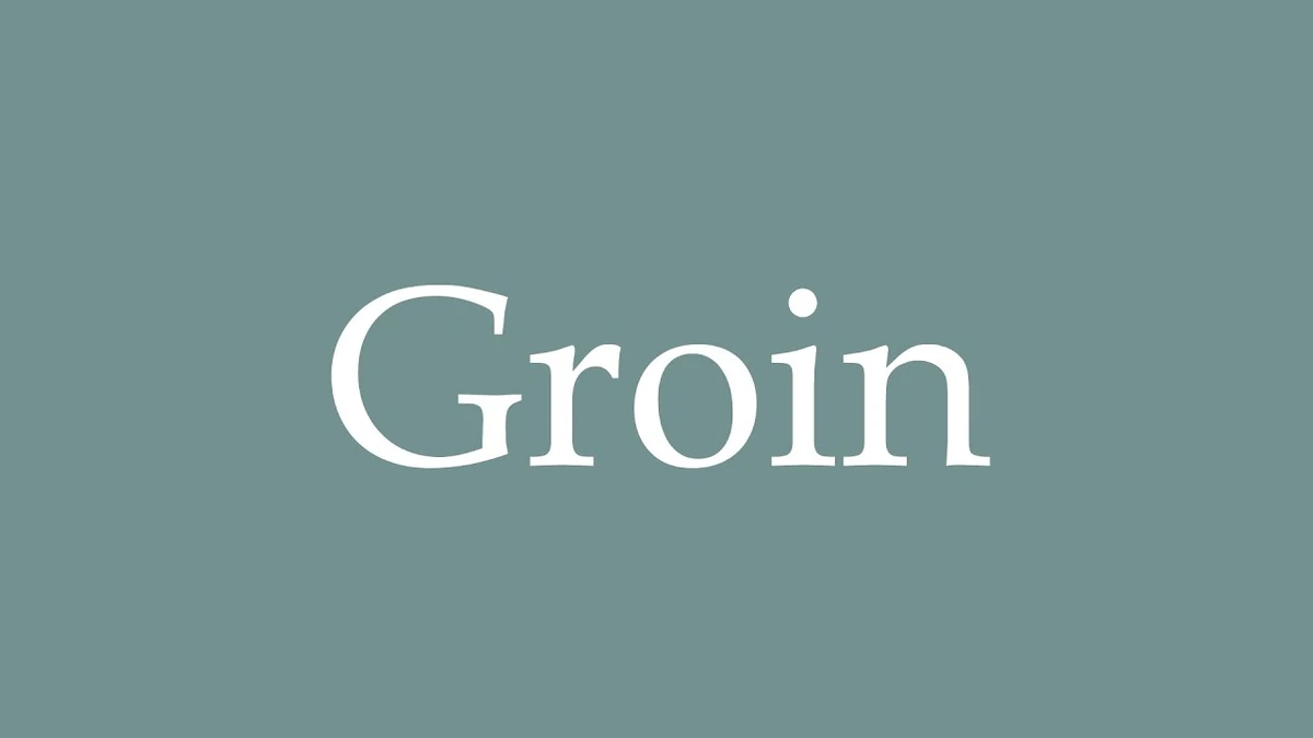 Groin | The Dictionary Wiki | Fandom