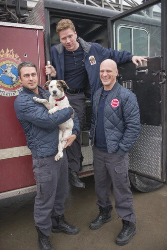 Rescue Squad 3 | The World Inside My Head Wiki | Fandom