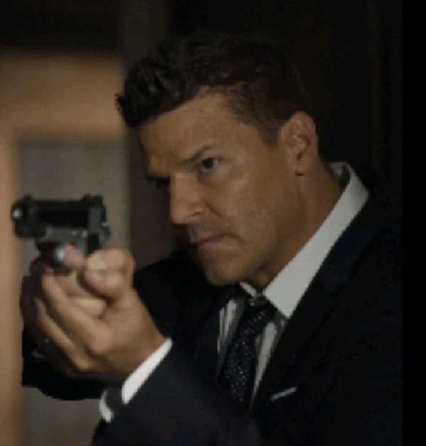 Seeley Booth | The World Inside My Head Wiki | Fandom