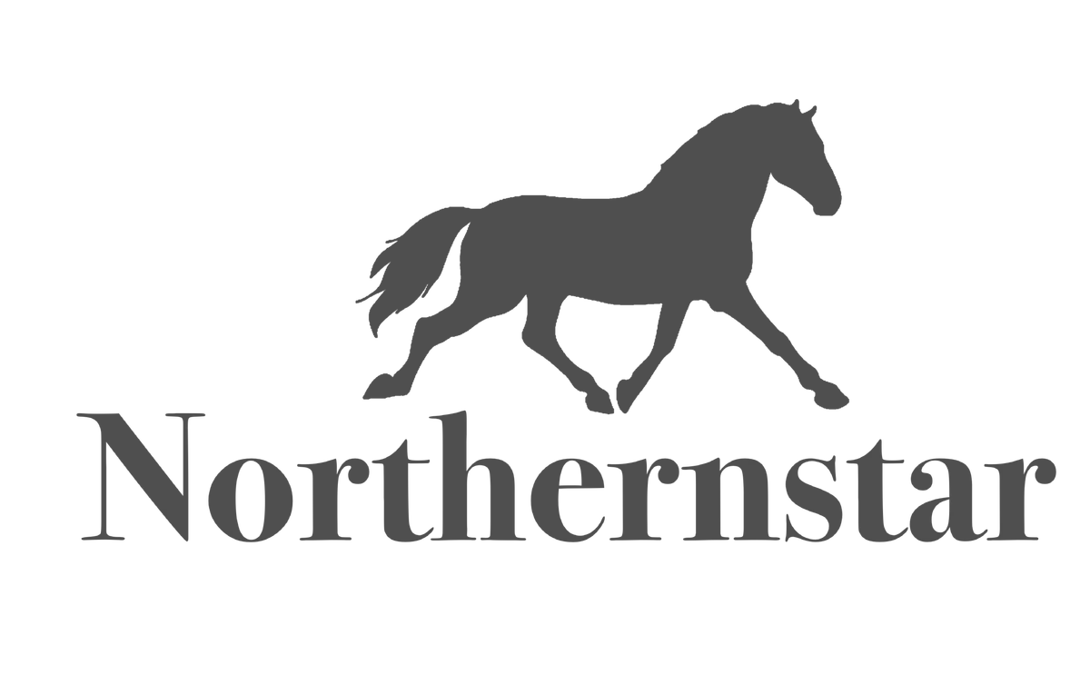 Northernstar | The World Of Alternative Cars Wiki | Fandom