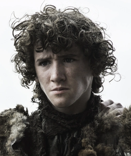 Doderick Brandybuck | The World of Arda Wiki | Fandom