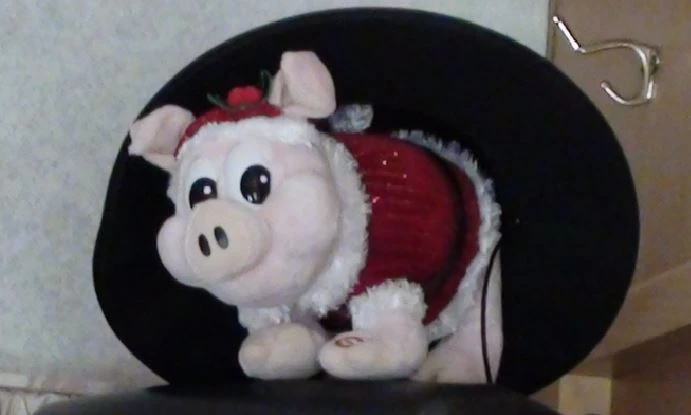 The Christmas Pig | The World of Ned Wikia | Fandom