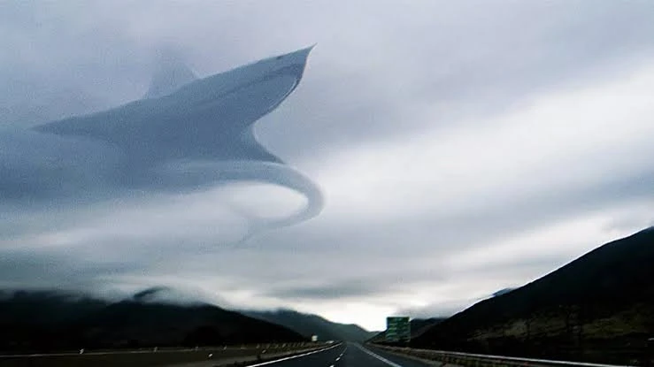 Aircraft Shark | The World of Trevor Henderson Wiki | Fandom