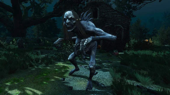 Water Hag (Witcher) | The Worlds of the Monsters Wiki | Fandom