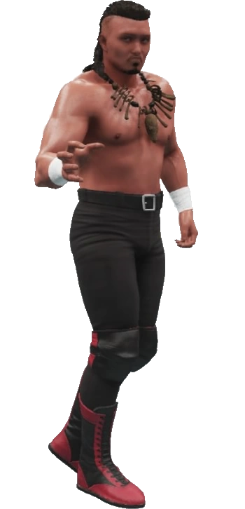 Ringo Akagi (EpicVizard) | The WWE 2K Wrestling Universe Wiki | Fandom