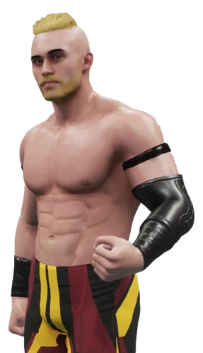 Matt Falcone (EpicVizard) | The WWE 2K Wrestling Universe Wiki | Fandom