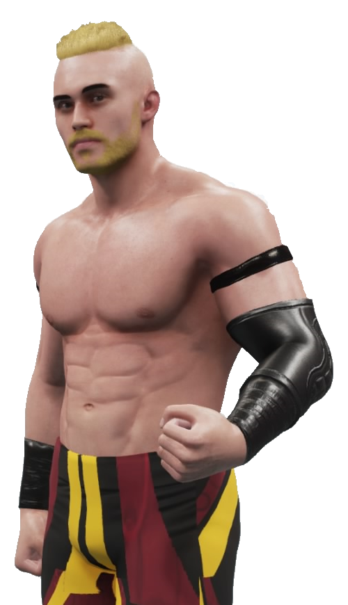 Matt Falcone (EpicVizard) | The WWE 2K Wrestling Universe Wiki | Fandom