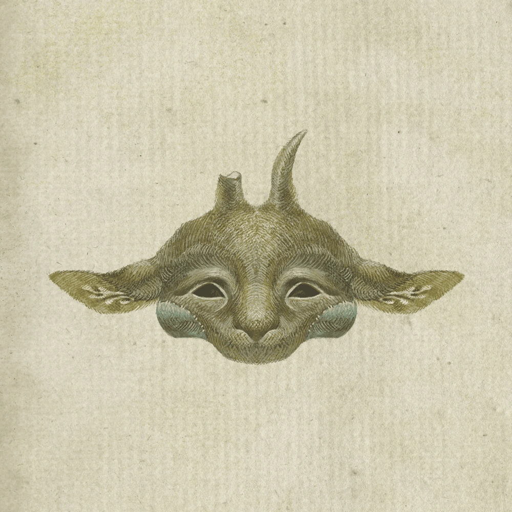 Bird Cage Blue and Yellow | The Yaelokre Wiki | Fandom