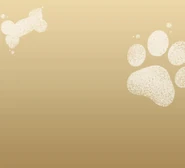 Cheems | The Youtooz Wiki | Fandom