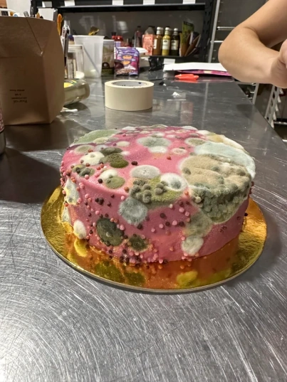 Strawberry Cake | The ZRU Wiki | Fandom