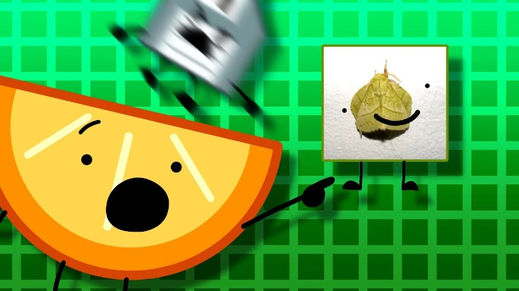 We Dont Even Get To Show Up...? | The ZRU Wiki | Fandom