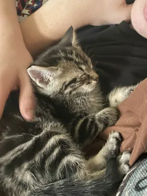 Grumpy | The ZRU Wiki | Fandom