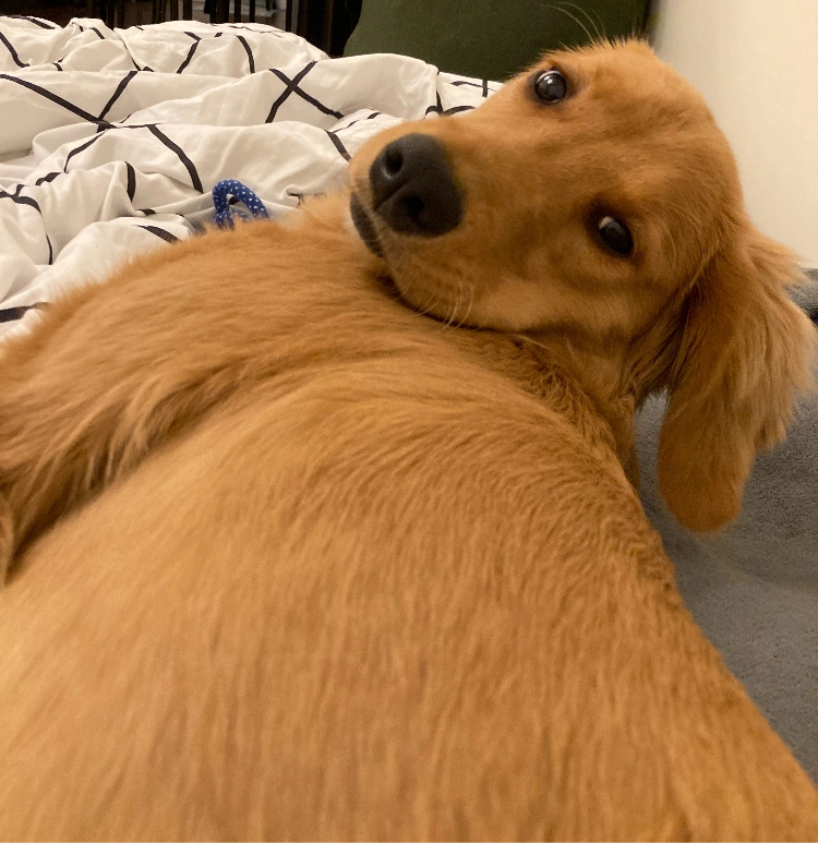 Delilah | The ZRU Wiki | Fandom