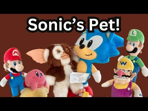 Sonic's Pet! | The ZRU Wiki | Fandom