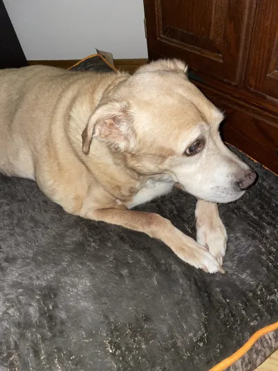 Parker | The ZRU Wiki | Fandom