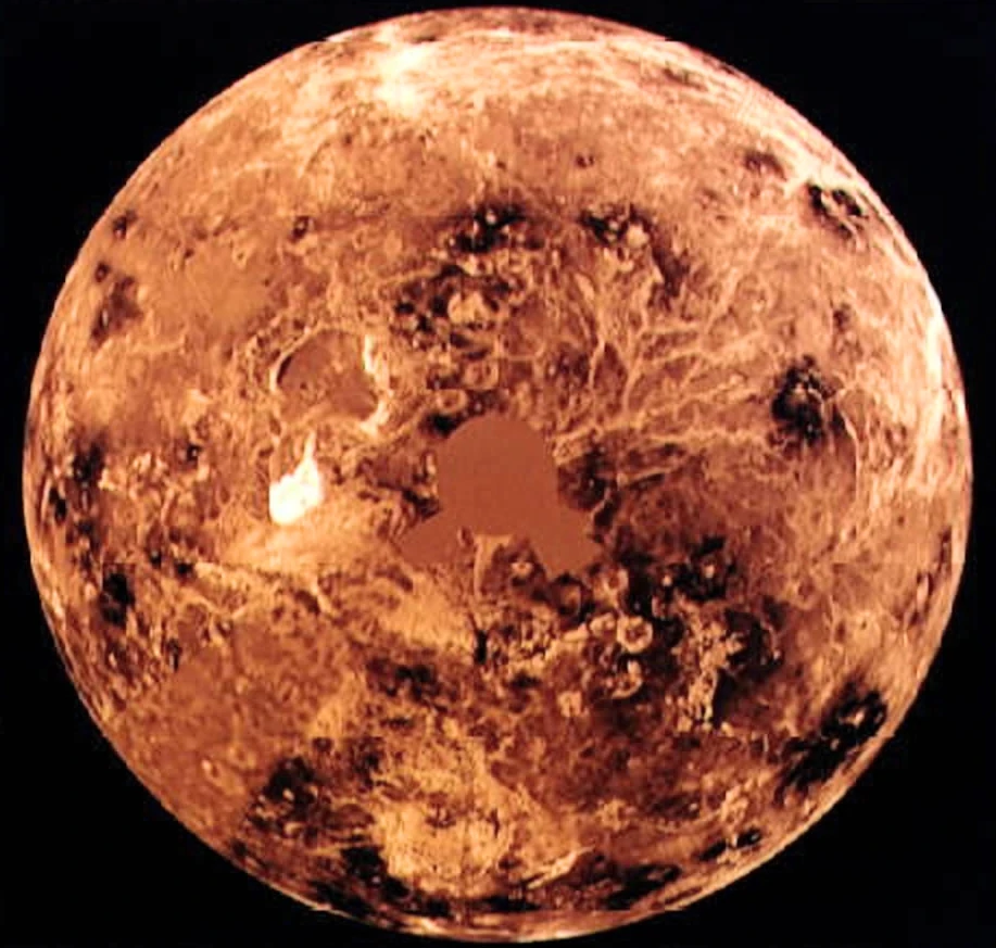 Category:Terms | The Zula Patrol Wiki | Fandom