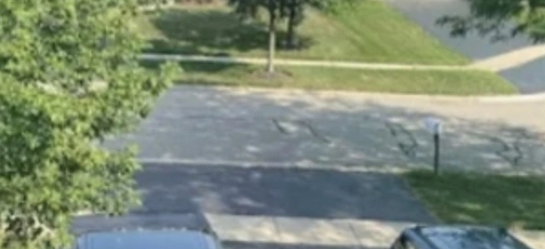 The Regular-Human-Infant Canon | The 0D-Real-World Wiki | Fandom