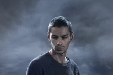 Steve Talley The 100