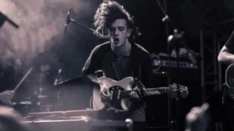 Wolves | The 1975 Wiki | Fandom