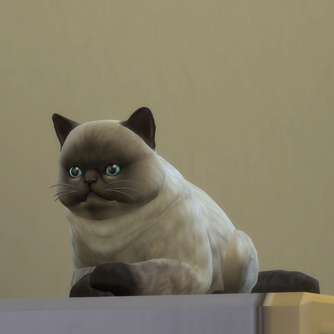 SCP-2005 | The SCP Foundation: Кукушки Вики | Fandom