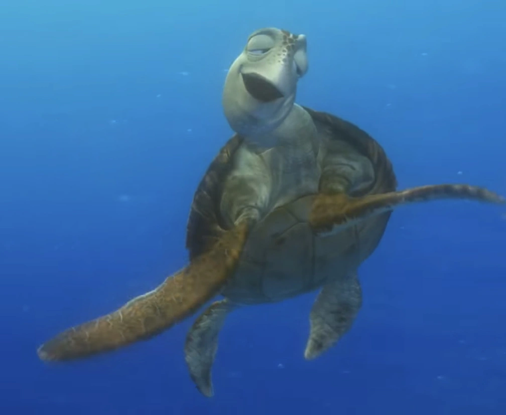 Sea Turtle Cartoon Nemo