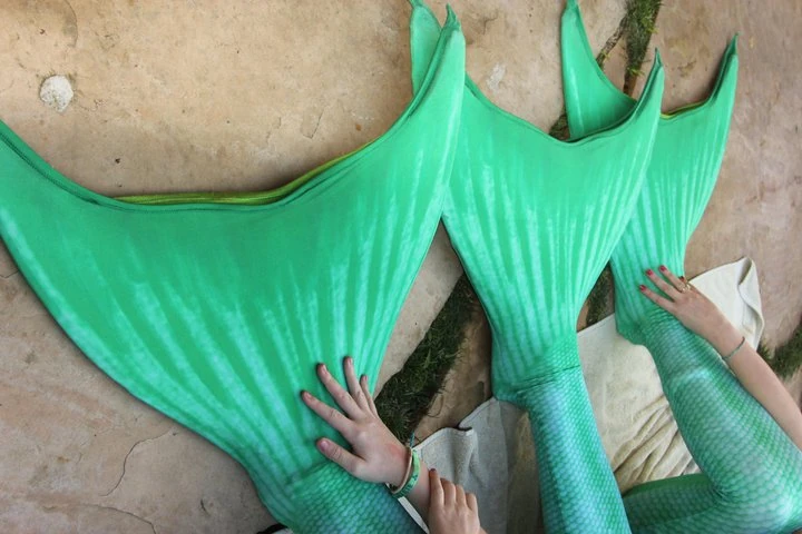 The Tails | The3Tails Wiki | Fandom