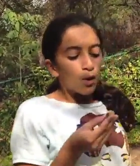 Eleanor | The3Tails Wiki | Fandom