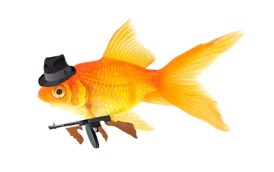 Jerry G. Goldfish | The Codpast Podcast Wiki | Fandom