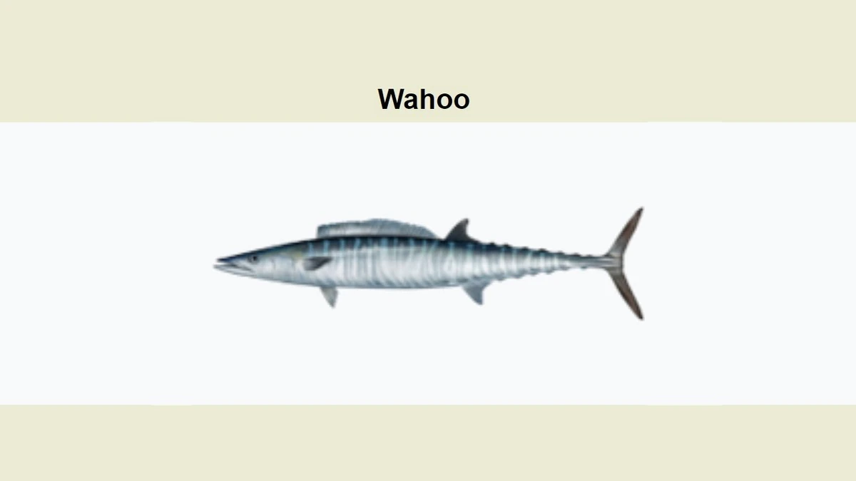 Mackerel Mac | The Codpast Podcast Wiki | Fandom