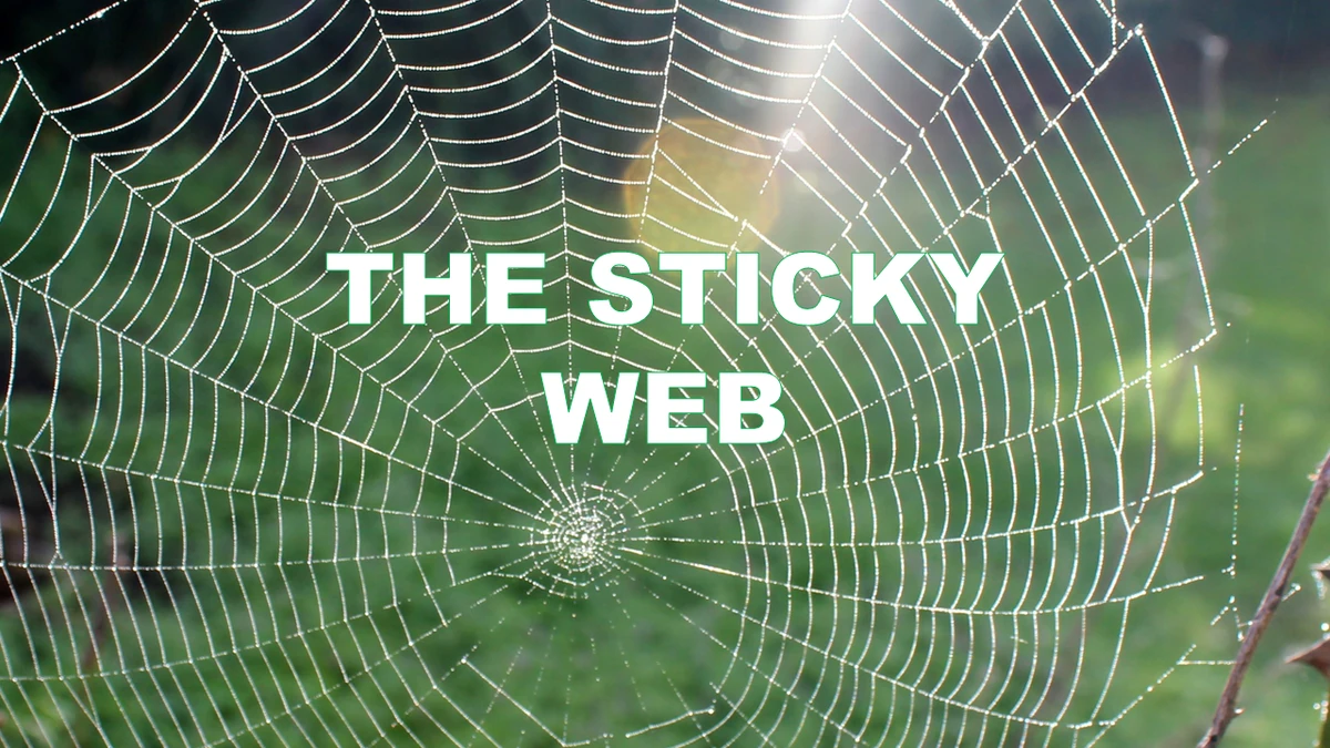 The Sticky Web | The Nick Jr. Extravaganza Wiki | Fandom