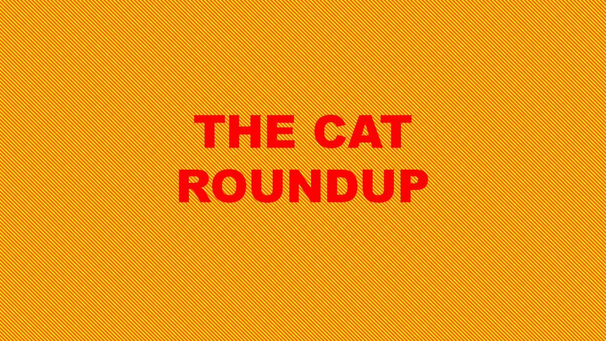The Cat Roundup | The Nick Jr. Extravaganza Wiki | Fandom