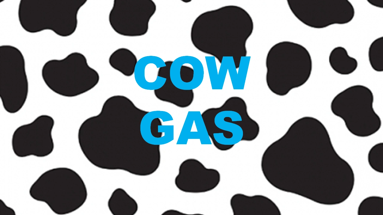Cow Gas | The Nick Jr. Extravaganza Wiki | Fandom