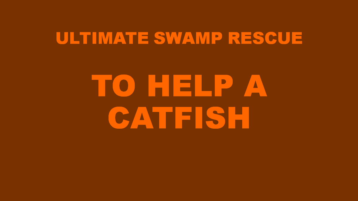 Ultimate Swamp Rescue: To Help a Catfish | The Nick Jr. Extravaganza ...