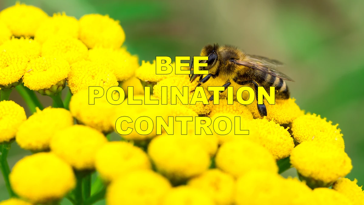 Bee Pollination Control | The Nick Jr. Extravaganza Wiki | Fandom