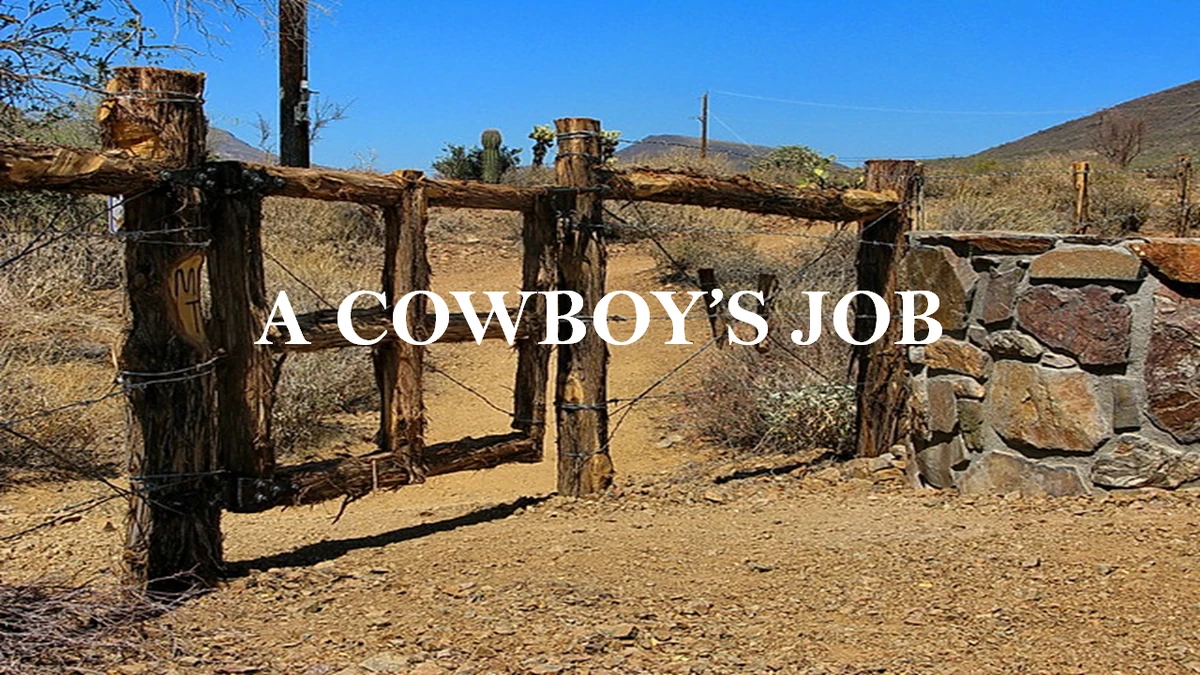 A Cowboy's Job | The Nick Jr. Extravaganza Wiki | Fandom
