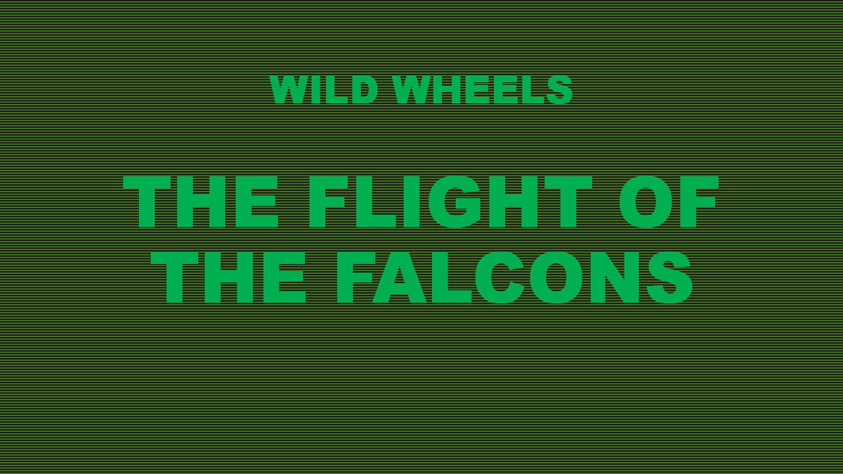 The Flight Of The Falcons | The Nick Jr. Extravaganza Wiki | Fandom