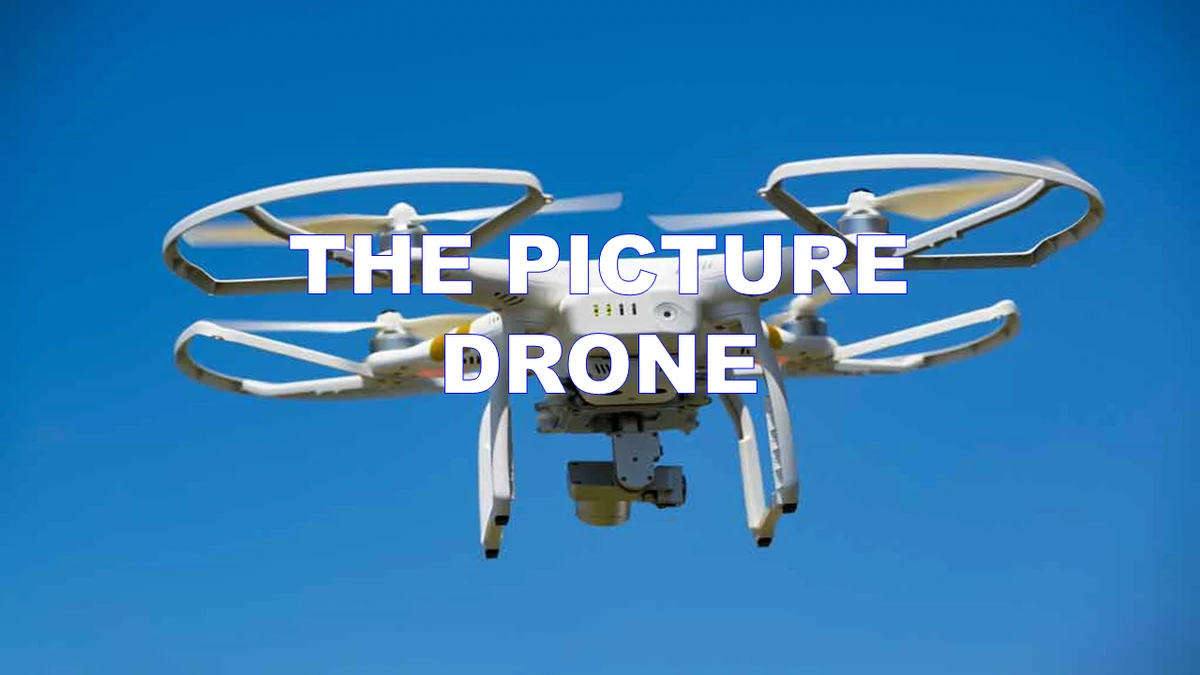 The Picture Drone | The Nick Jr. Extravaganza Wiki | Fandom