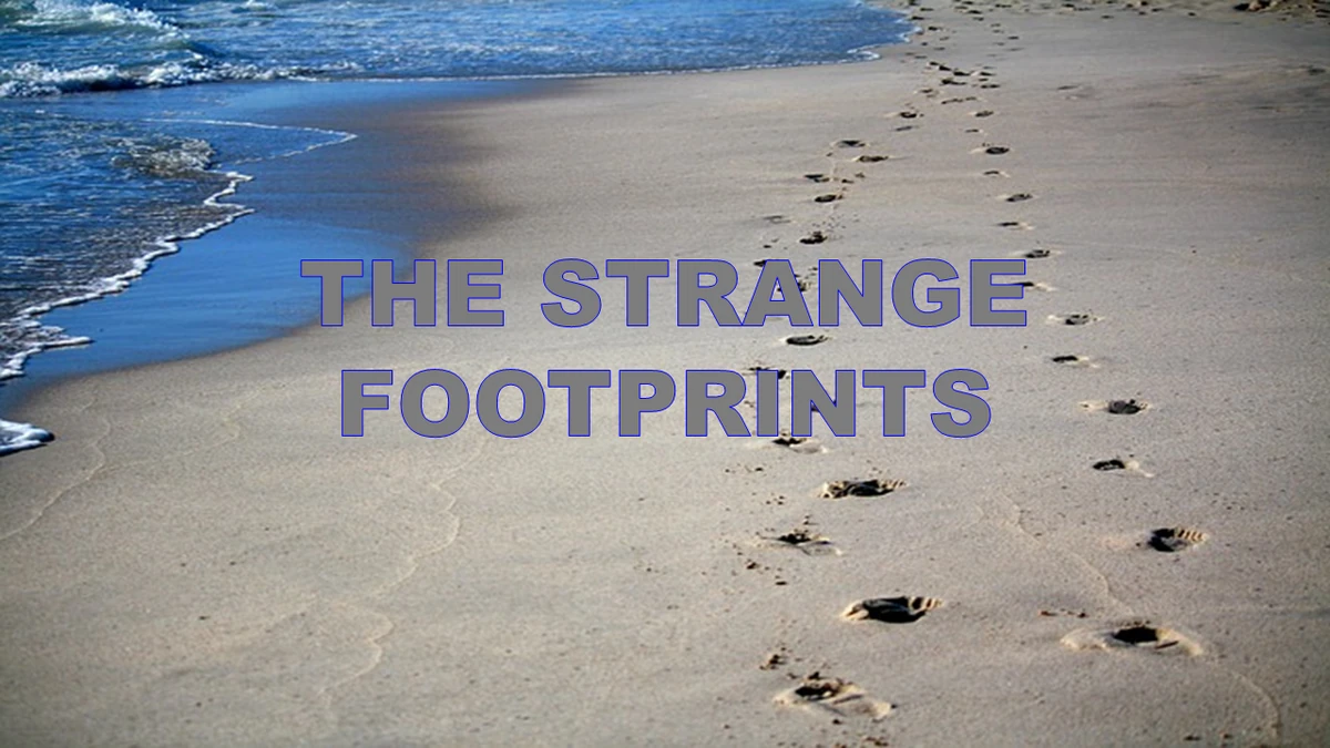 The Strange Footprints | The Nick Jr. Extravaganza Wiki | Fandom