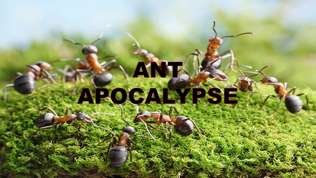 Ant Apocalypse | The Nick Jr. Extravaganza Wiki | Fandom