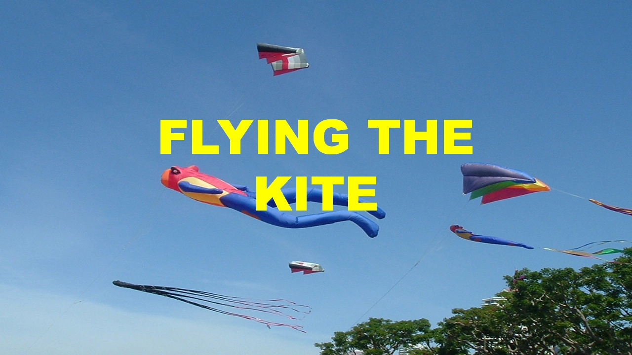 Flying The Kite | The Nick Jr. Extravaganza Wiki | Fandom