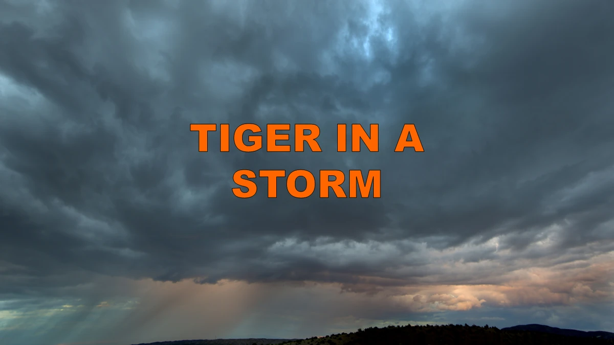 Tiger In a Storm | The Nick Jr. Extravaganza Wiki | Fandom