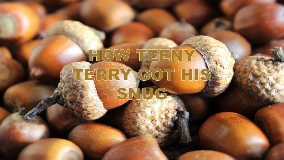 How Teeny Terry Got His Snug | The Nick Jr. Extravaganza Wiki | Fandom