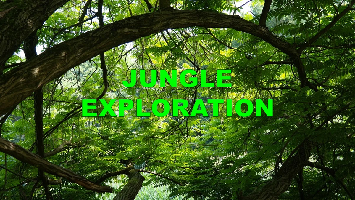 Jungle Exploration | The Nick Jr. Extravaganza Wiki | Fandom