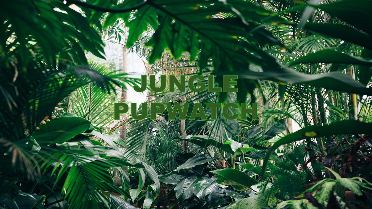 Jungle Pupwatch | The Nick Jr. Extravaganza Wiki | Fandom