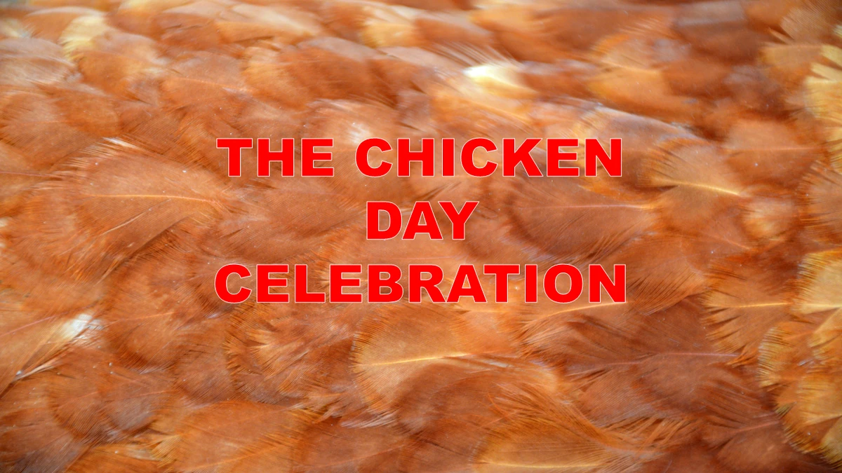 The Chicken Day Celebration | The Nick Jr. Extravaganza Wiki | Fandom